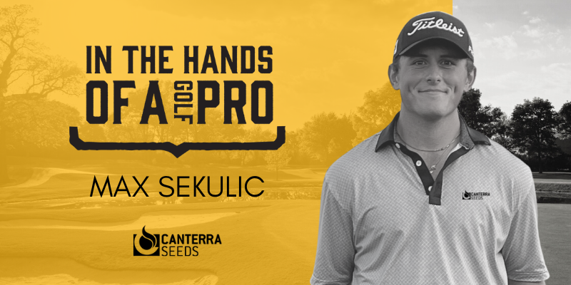 In the Hands of a Golf Pro | CANTERRA SEEDS