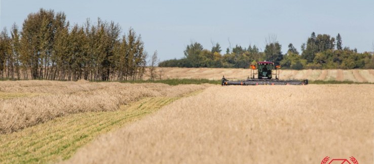 Field to Froth: Red Shed Malting shares what you need to know about ...